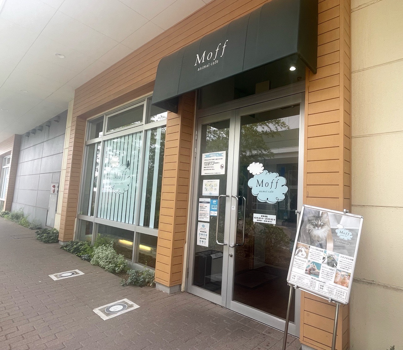 【2026年版】「Moff animal cafe(モフアニマルカフェ) イーアスつくば店」割引・クーポン情報・ネコやひよこ・フクロウの動物と ...