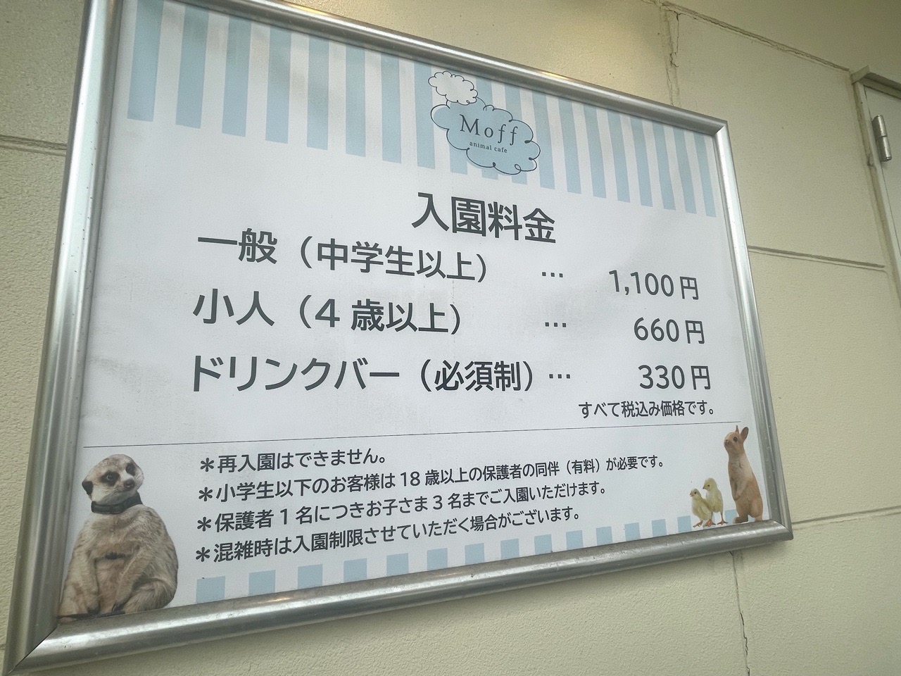 【2026年版】「Moff animal cafe(モフアニマルカフェ) イーアスつくば店」割引・クーポン情報・ネコやひよこ・フクロウの動物と ...