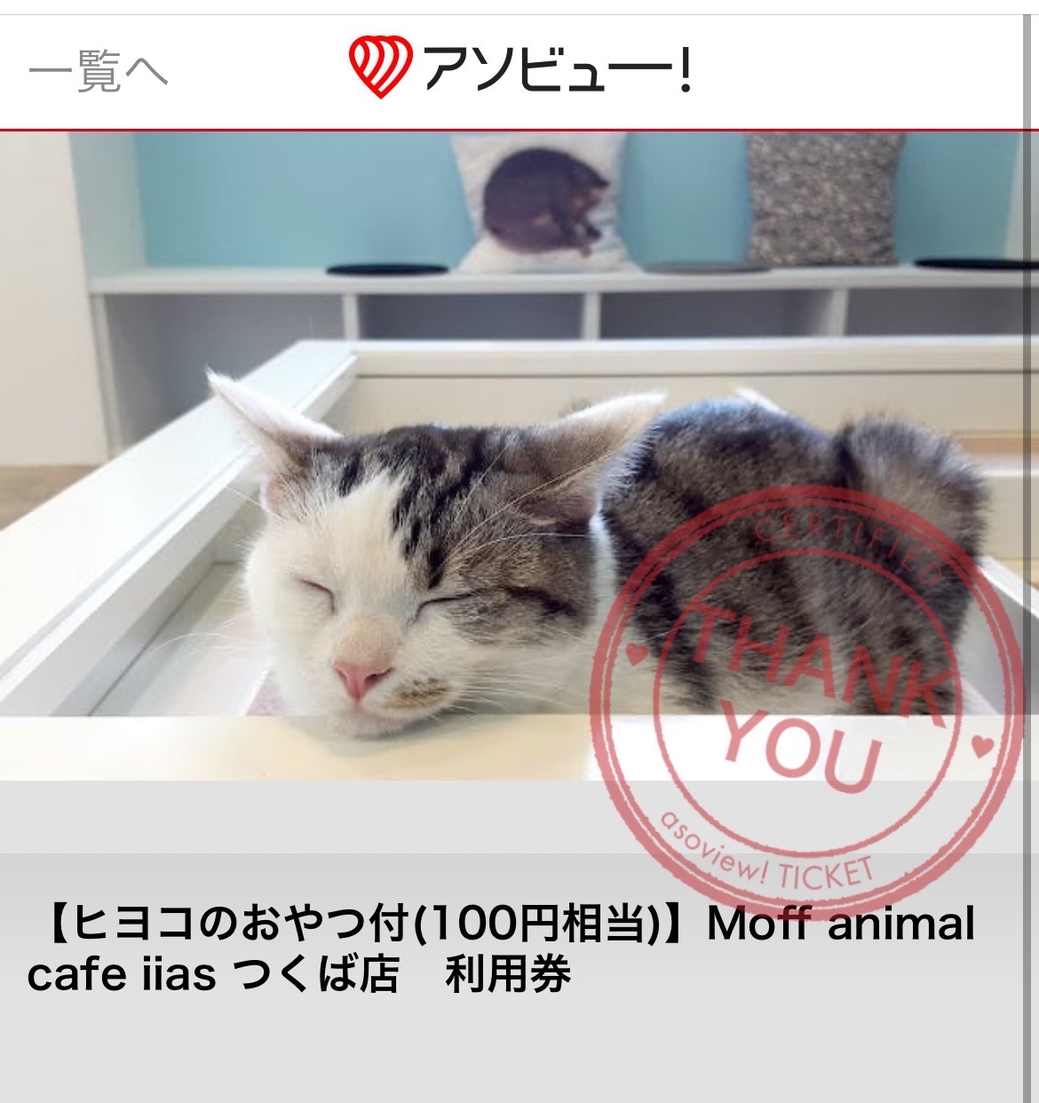 【2026年版】「Moff animal cafe(モフアニマルカフェ) イーアスつくば店」割引・クーポン情報・ネコやひよこ・フクロウの動物と ...